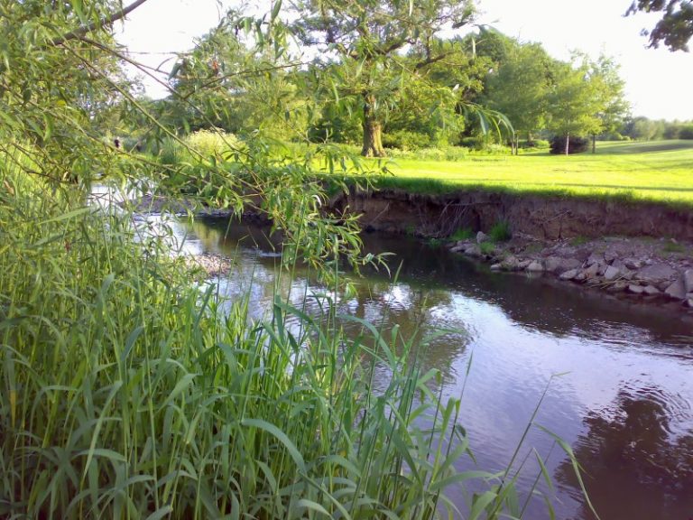 The River Blithe | Saracens Head Angling Group