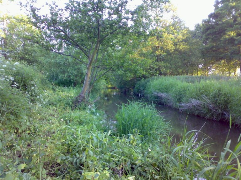 The River Blithe | Saracens Head Angling Group