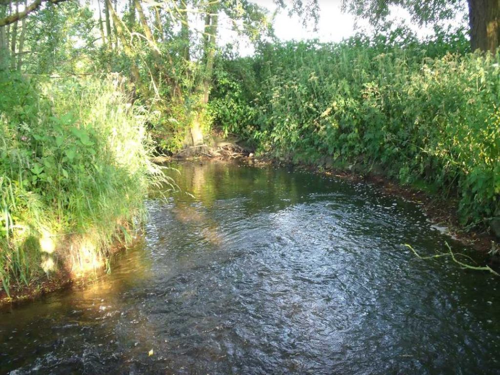 Our Waters | Saracens Head Angling Group