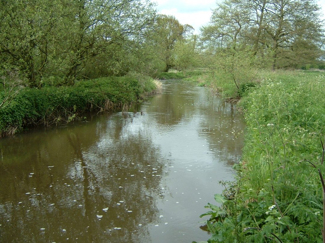 The River Blithe | Saracens Head Angling Group