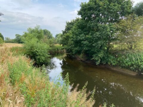 The River Trent | Saracens Head Angling Group